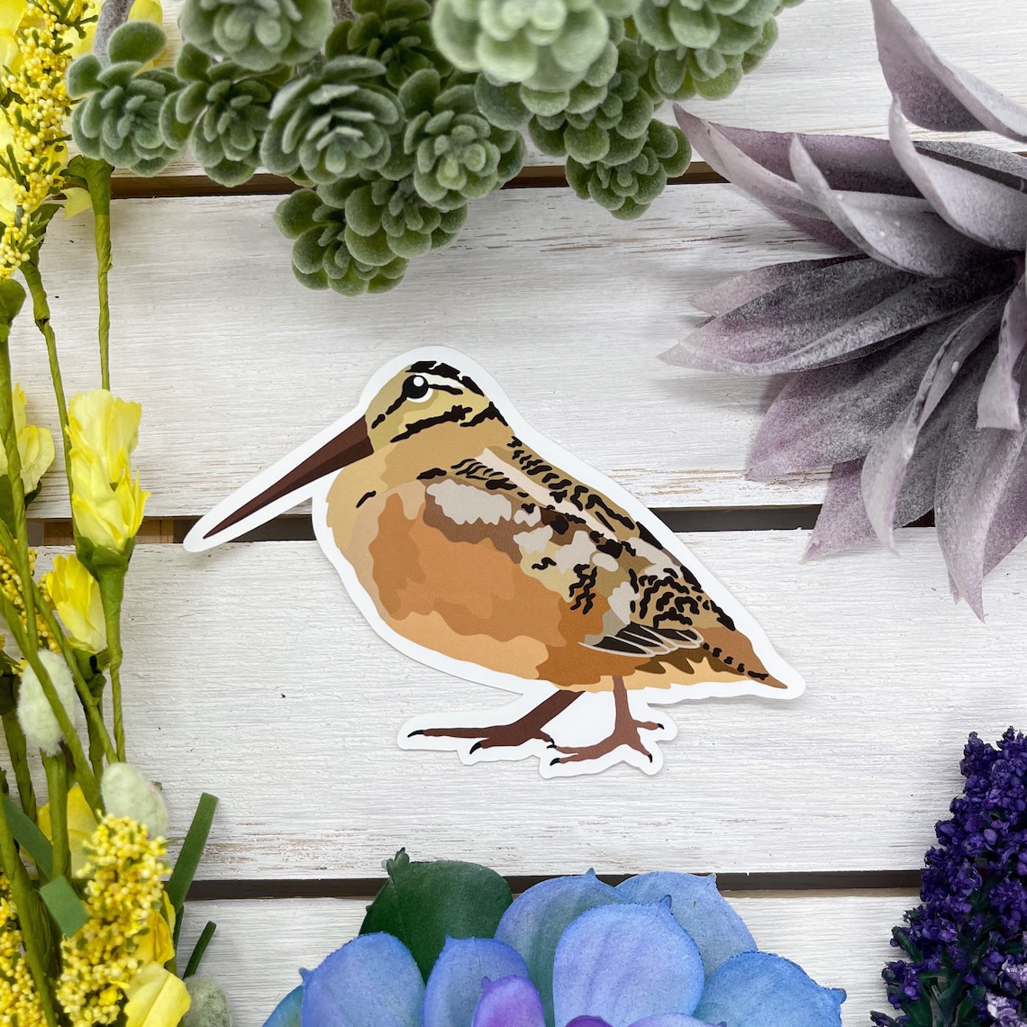 American Woodcock Sticker Bird Sticker Birdwatching Sticker | Etsy