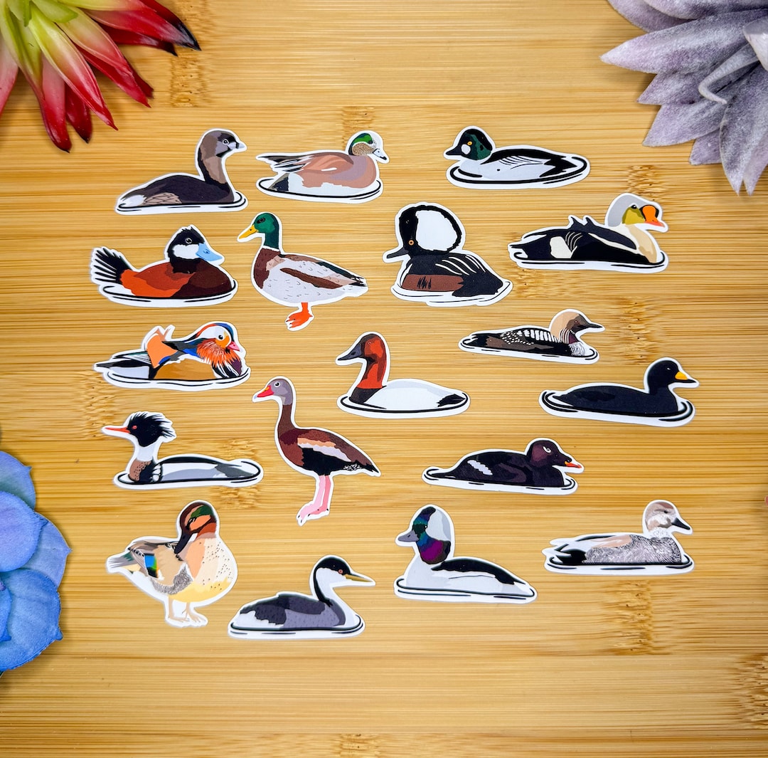 Duck Sticker Pack, Mini Bird Sticker Pack, Bird Journal Stickers, Bird ...