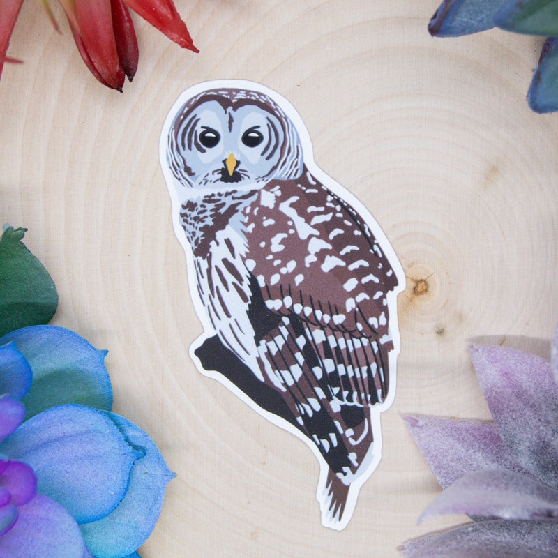 Owl Sticker - Etsy UK