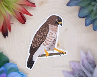 Hawk Wing Wall Decal - Etsy
