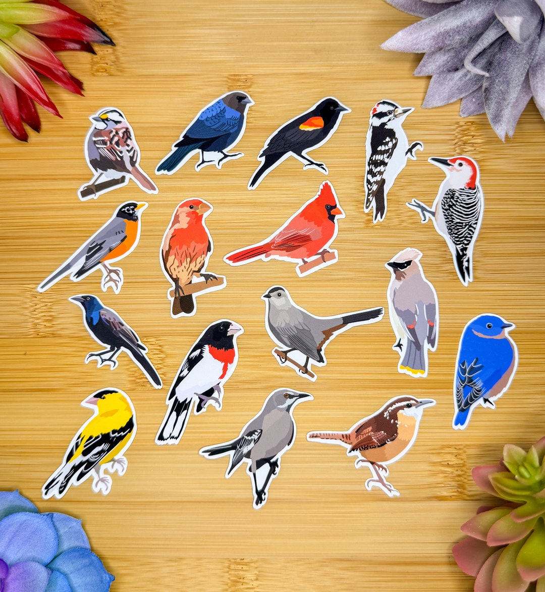 Backyard Birds Sticker Pack, Mini Bird Sticker Pack, Bird Journal ...