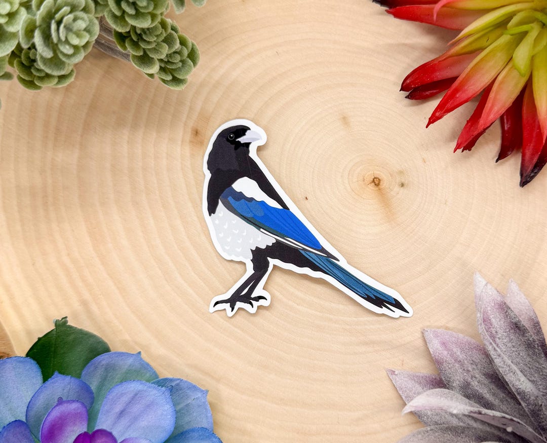 Black Billed Magpie Sticker, Bird Sticker, Birdwatching Sticker ...