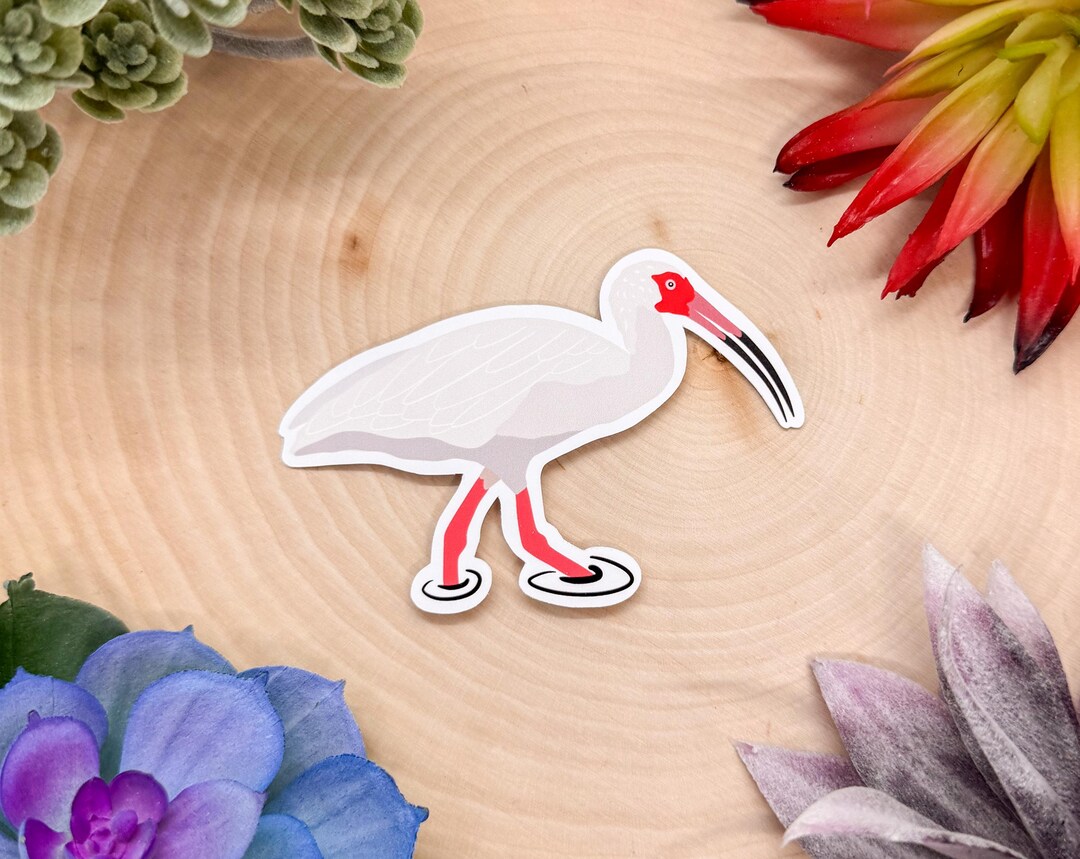 White Ibis Sticker, White Ibis Decal, White Ibis Gift, White Ibis Decor ...