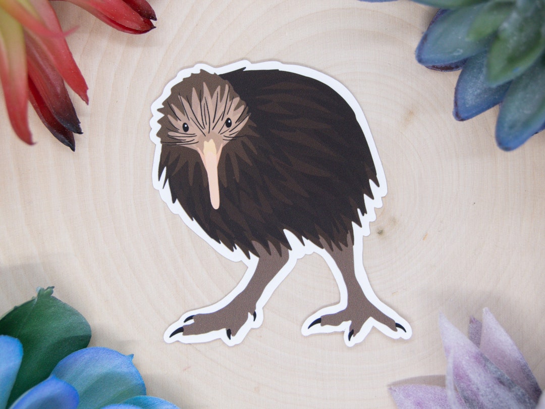 Kiwi Bird Sticker, Bird Sticker, Birdwatching Sticker, Birding Sticker ...