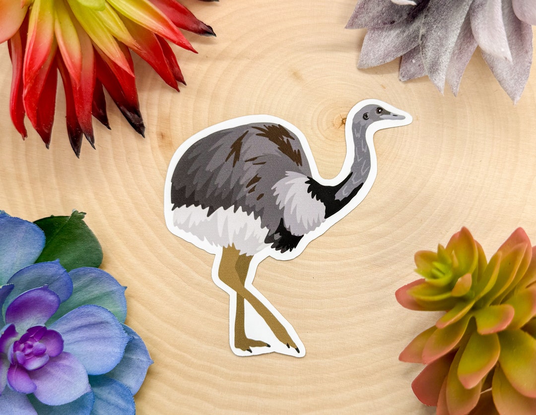 Greater Rhea Sticker Greater Rhea Decal Greater Rhea T Greater Rhea Decor Greater Rhea
