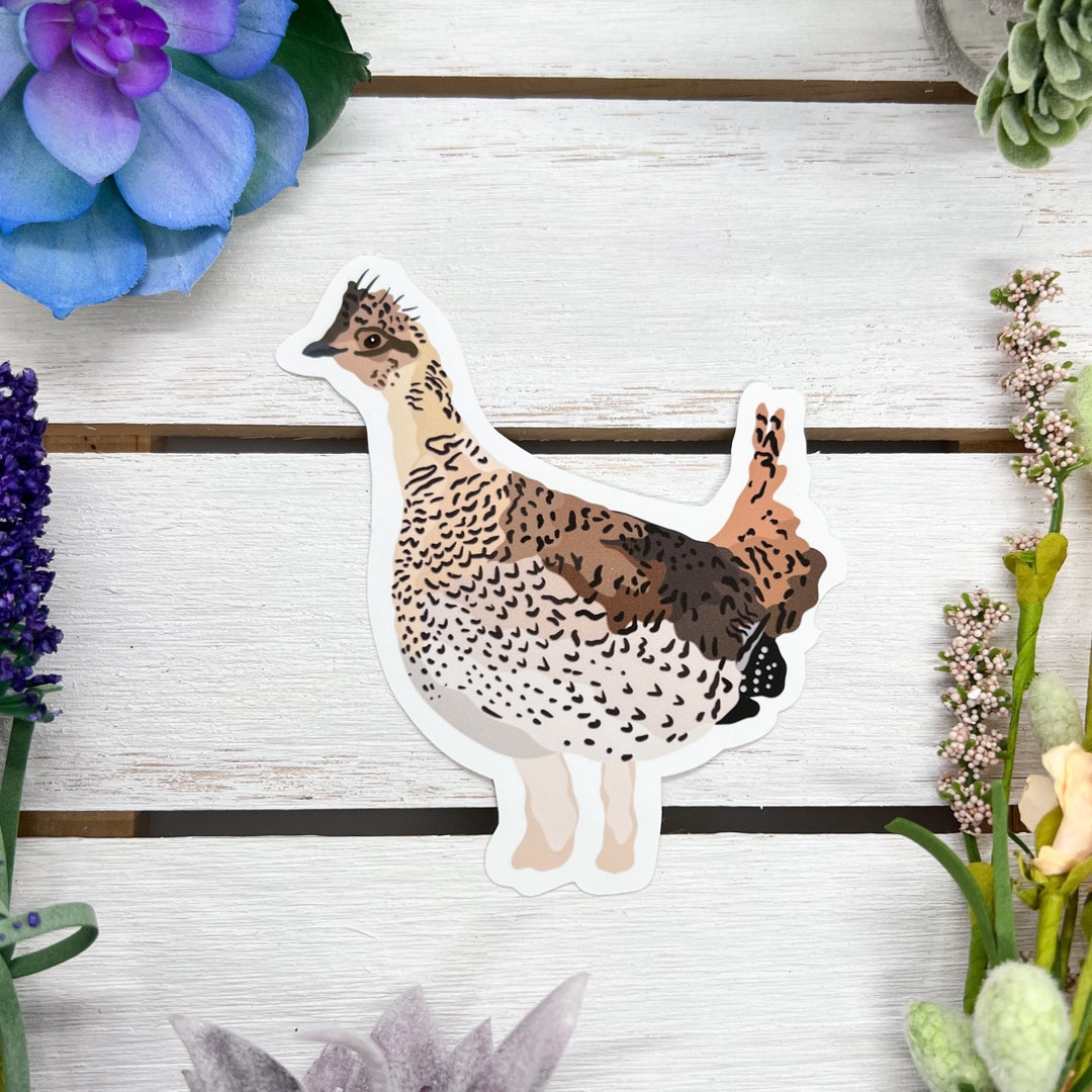 Ruffed Grouse Sticker Ruffed Grouse Decal Ruffed Grouse - Etsy