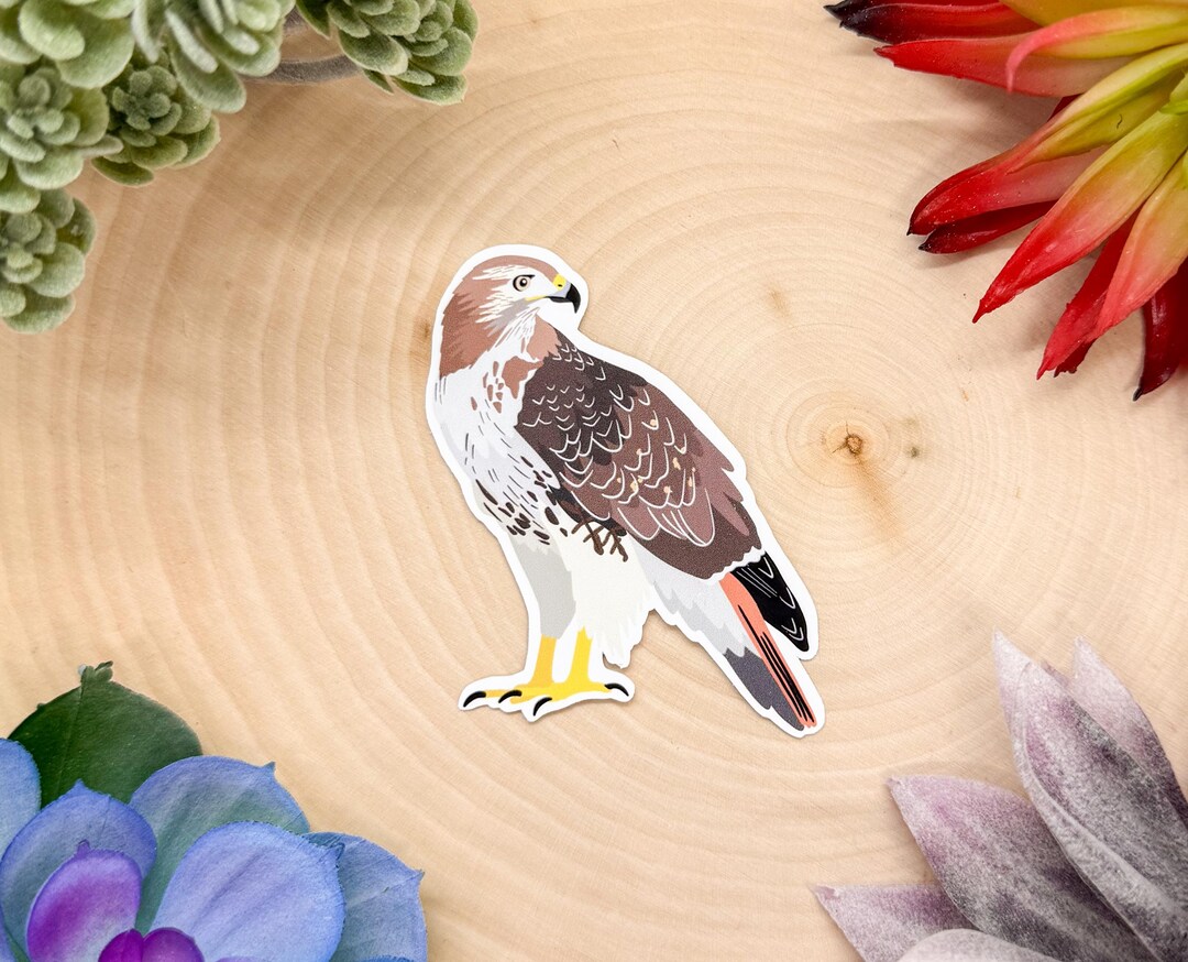 Red Tailed Hawk Sticker, Bird Sticker, Birdwatching Sticker, Birding ...