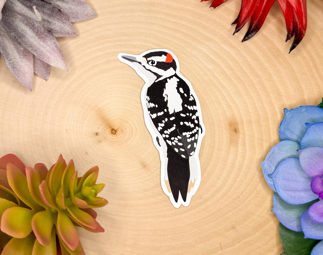 Hairy Woodpecker Sticker, Hairy Woodpecker Decal, Woodpecker Gift ...