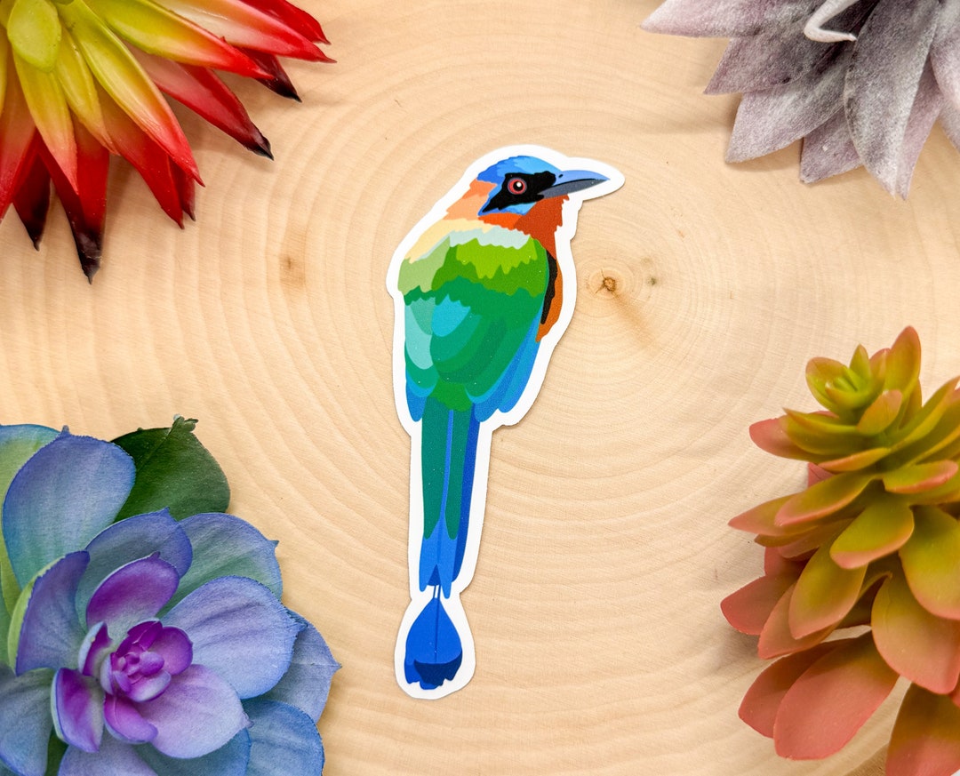Trinidad Motmot Sticker, Motmot Decal, Motmot Gift, Motmot Decor ...