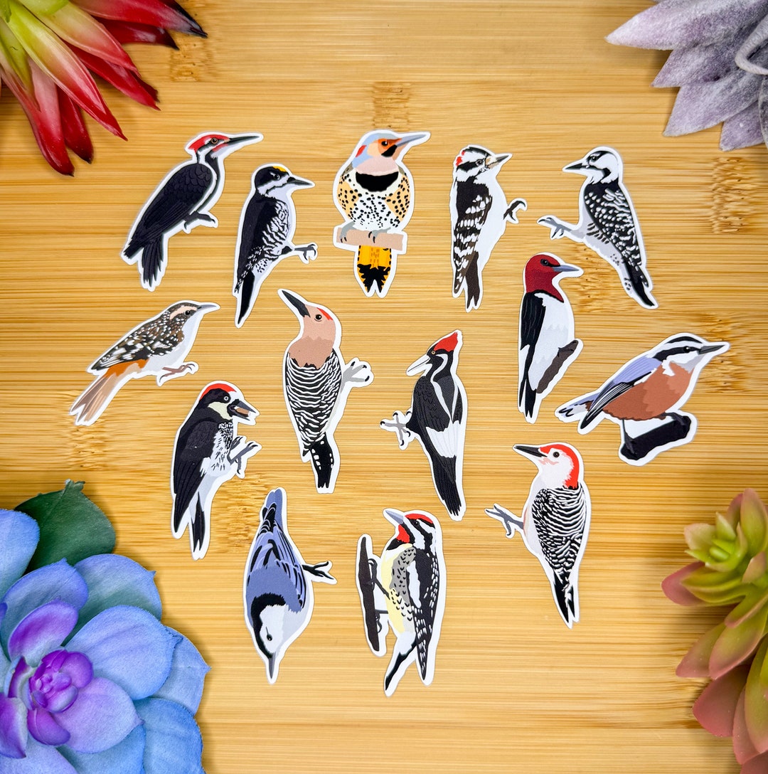Woodpecker Sticker Pack, Mini Bird Sticker Pack, Bird Journal Stickers ...