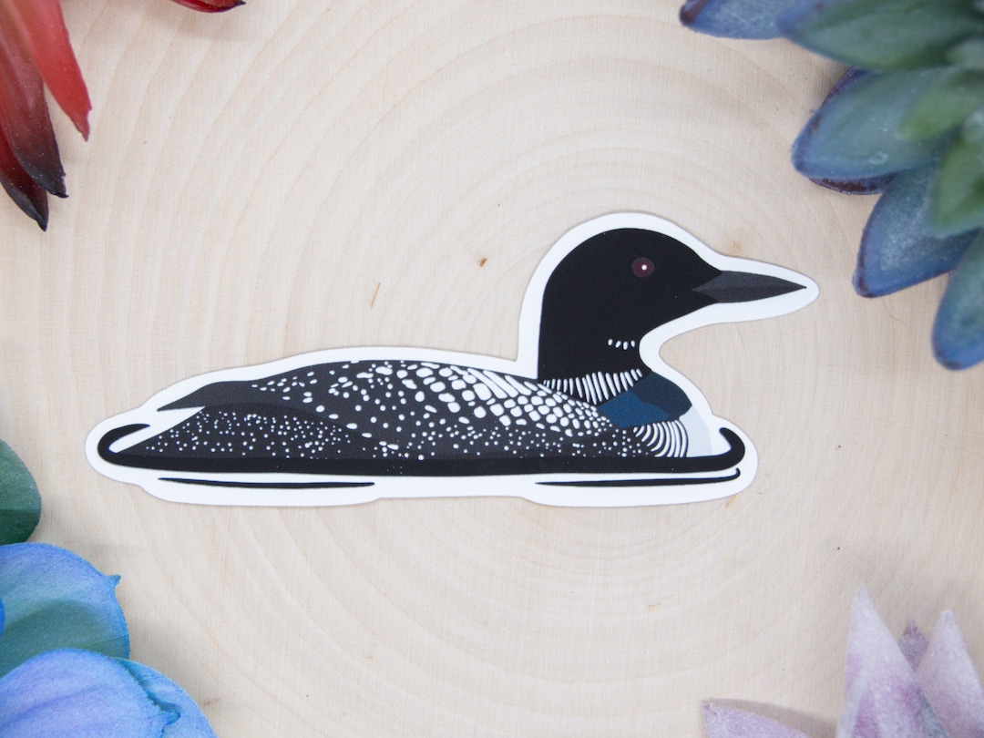 Loon Sticker, Bird Sticker, Birdwatching Sticker, Birding Sticker, Loon ...