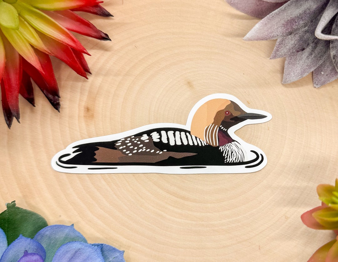 Pacific Loon Sticker, Pacific Loon Decal, Loon Bird Gift, Loon Bird ...
