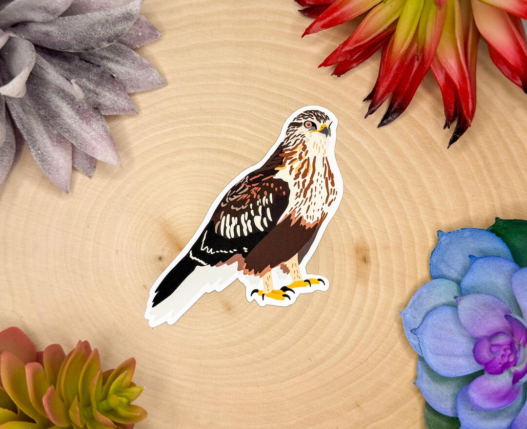 Rough Legged Hawk Sticker, Rough Legged Hawk Decal, Hawk Gift, Hawk ...