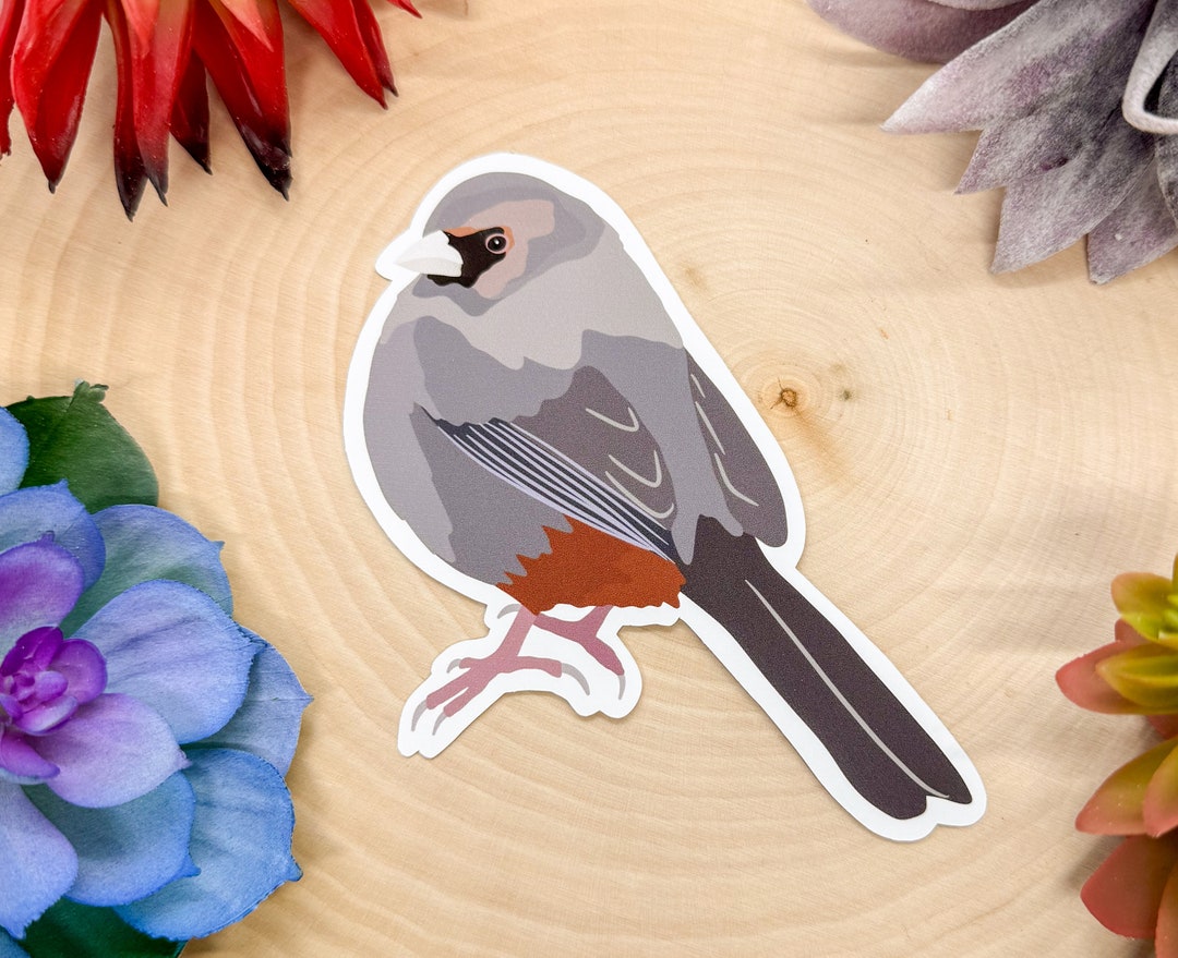 California Towhee Sticker, California Towhee Decal, California Towhee ...