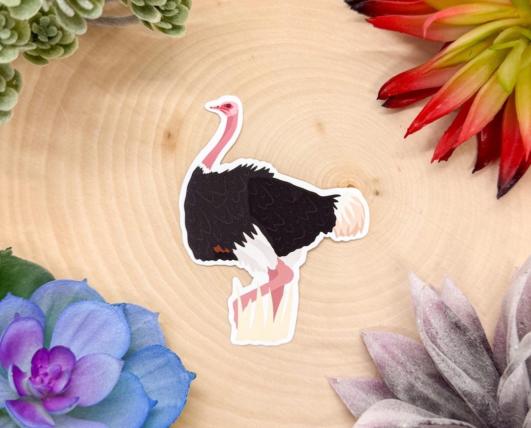 Ostrich Sticker, Bird Sticker, Birdwatching Sticker, Birding Sticker ...