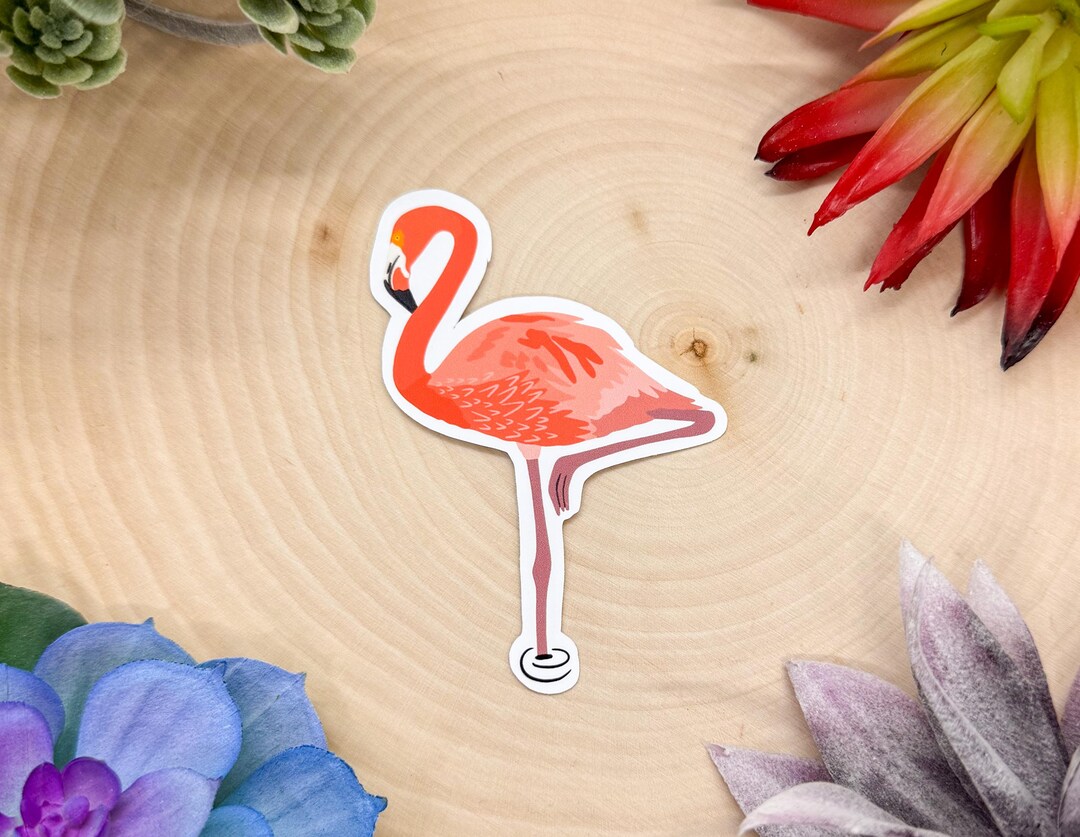 American Flamingo Sticker, Bird Sticker, Birdwatching Sticker, Birding ...