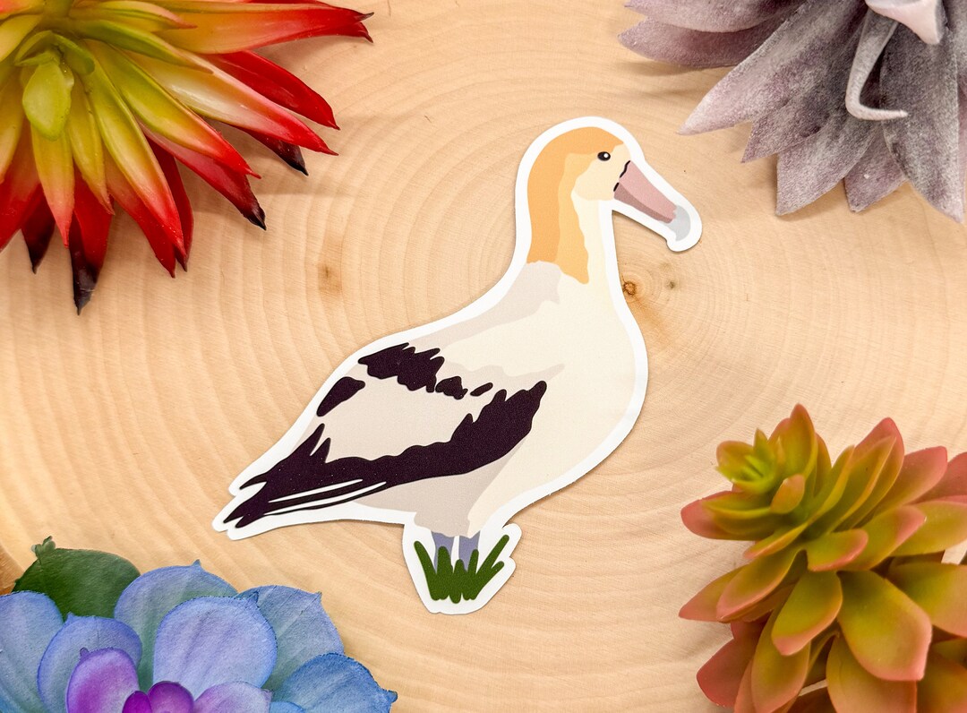 Albatross Sticker, Albatross Decal, Albatross Gift, Albatross Decor ...