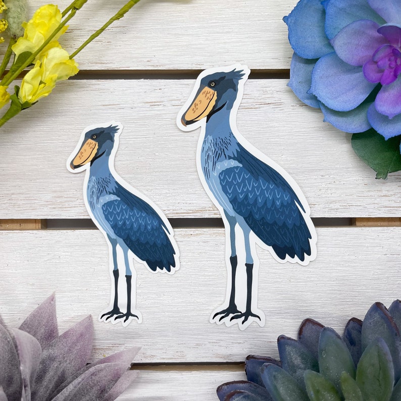 Shoebill Stork Sticker Shoebill Stork Decal Shoebill Stork - Etsy