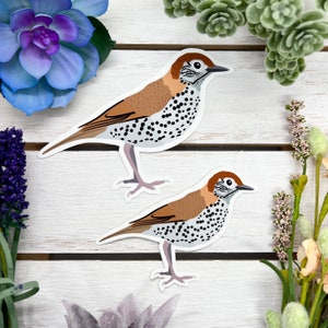 Wood Thrush Sticker, Wood Thrush Decal, Thrush Bird, Wood Thrush Gift ...