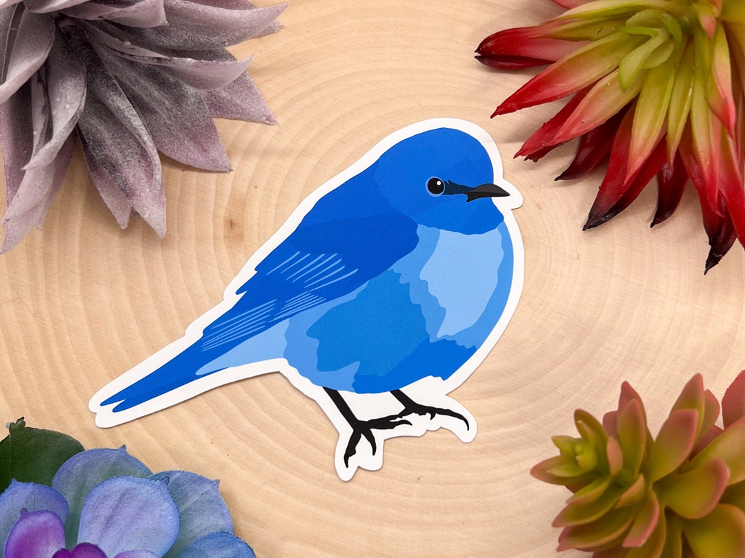 Mountain Bluebird Sticker, Mountain Bluebird Decal, Mountain Bluebird ...