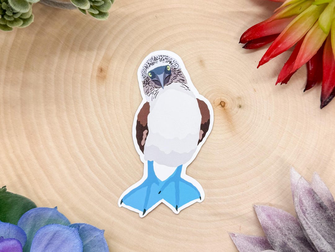Blue Footed Booby Sticker, Bird Sticker, Birdwatching Sticker, Birding ...