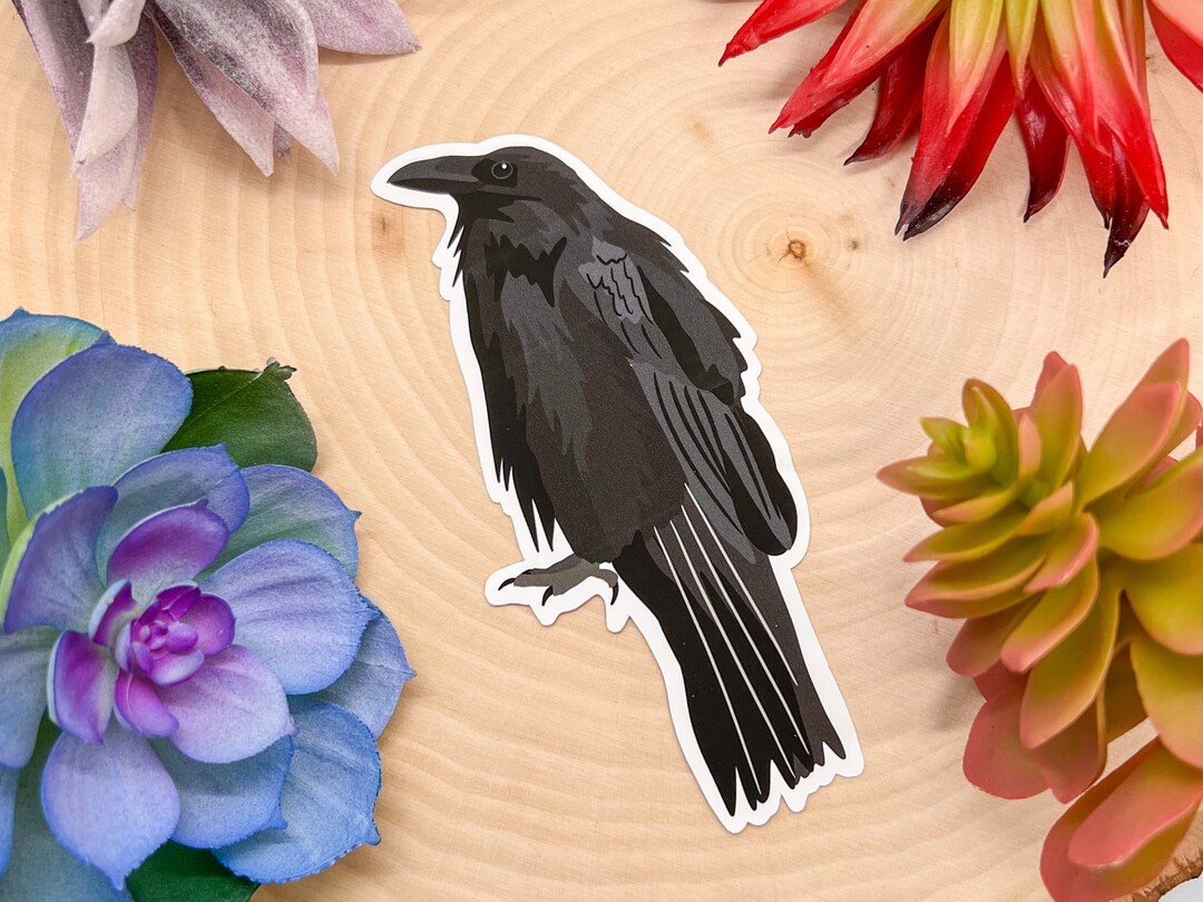 Common Raven Sticker, Common Raven Decal, Common Raven Gift, Common ...