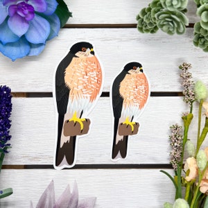 Sharp Shinned Hawk Sticker, Hawk Decal, Hawk Sticker, Coopers Hawk ...