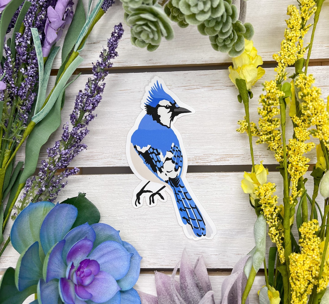 Blue Jay Sticker Bird Sticker Birdwatching Sticker Birding - Etsy