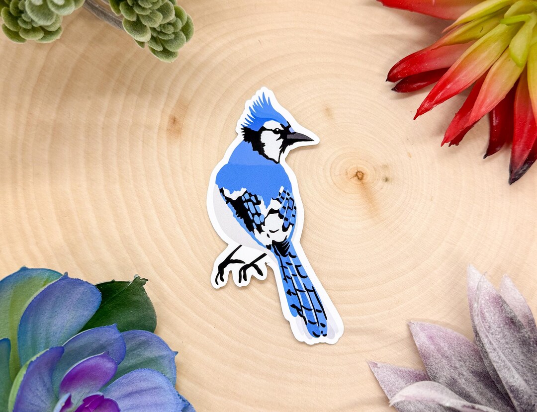 Blue Jay Sticker, Bird Sticker, Birdwatching Sticker, Birding Sticker ...