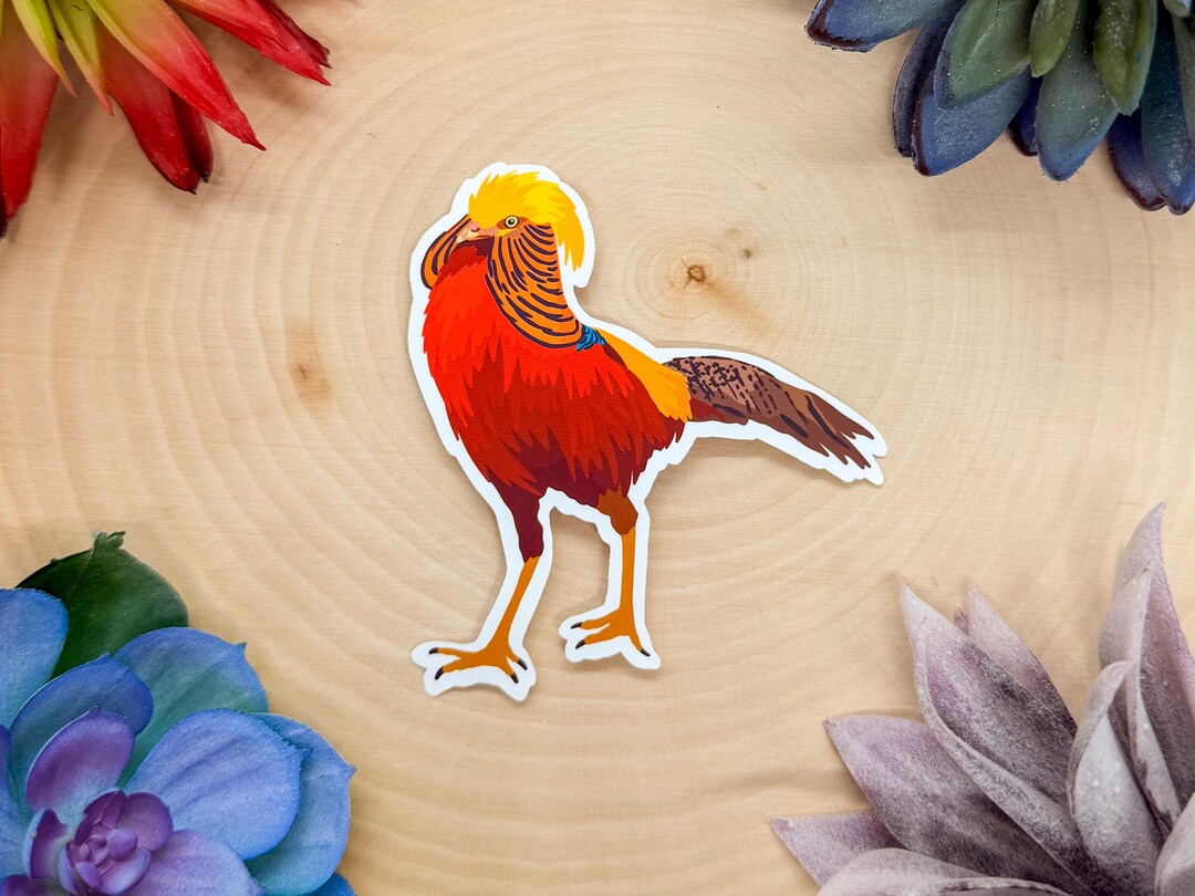 Golden Pheasant Sticker, Golden Pheasant Decal, Birdwatching Sticker ...