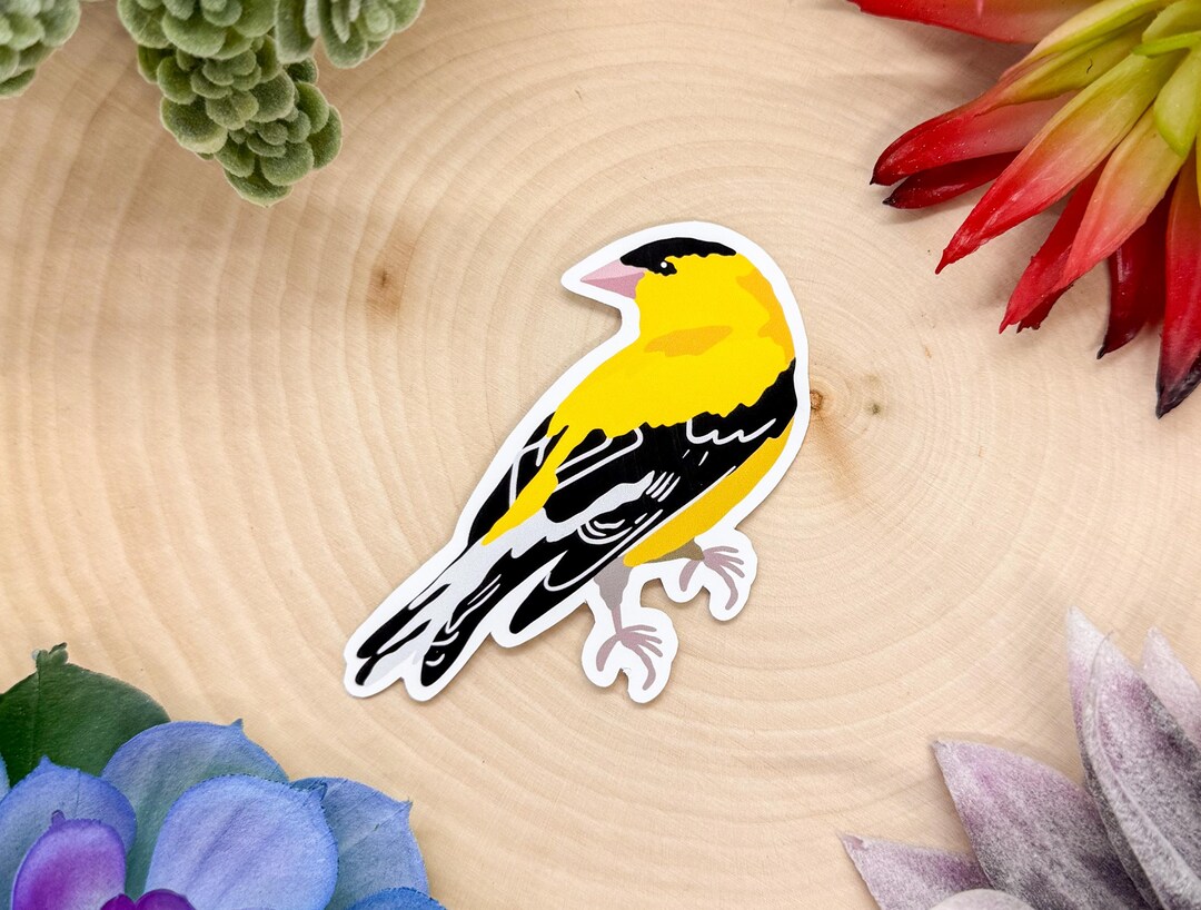 American Goldfinch Sticker, Bird Sticker, Birdwatching Sticker, Birding ...