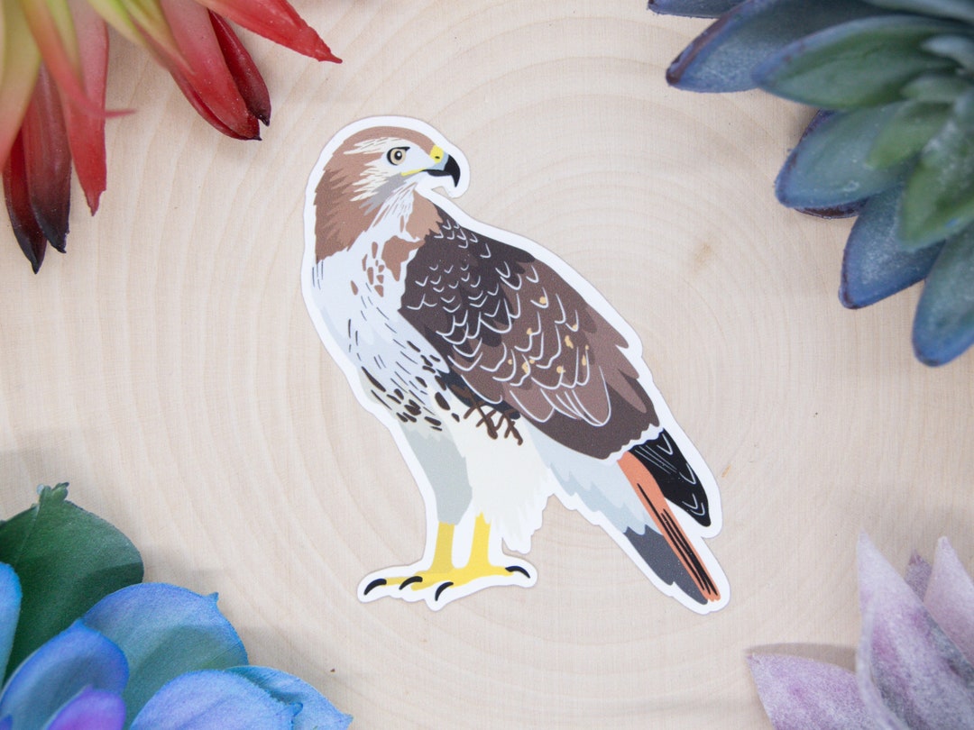 Red Tailed Hawk Sticker, Bird Sticker, Birdwatching Sticker, Birding ...