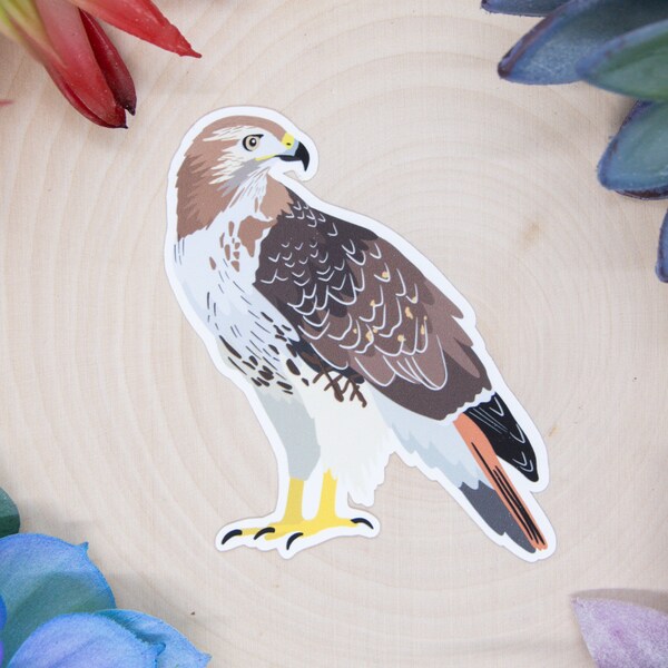 Red Tailed Hawk - Etsy