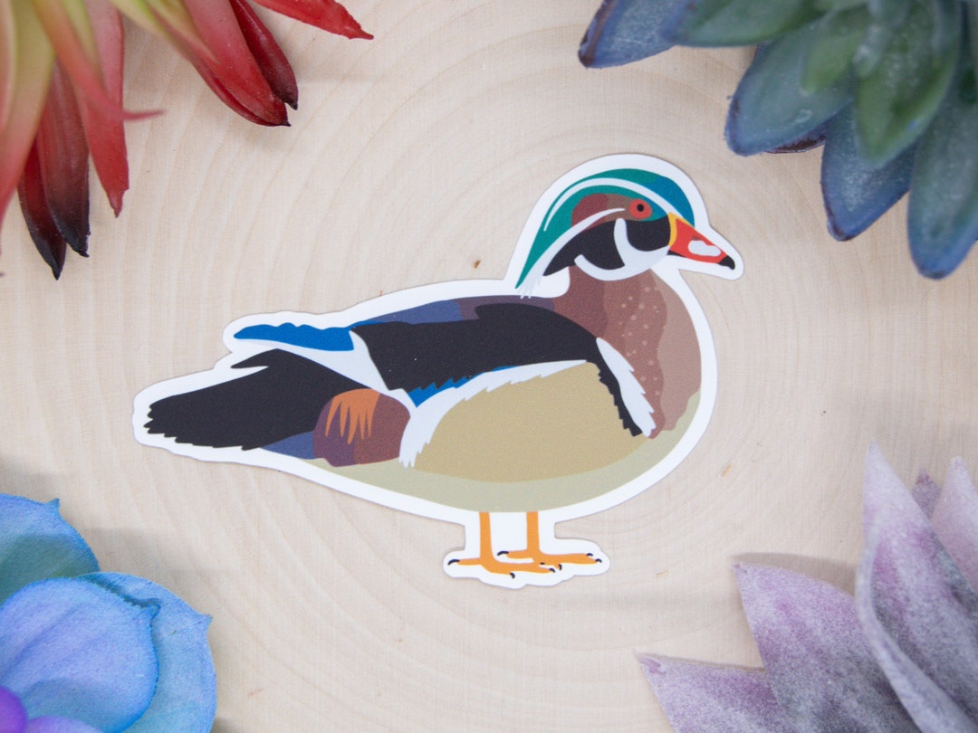 Wood Duck Sticker, Bird Sticker, Birdwatching Sticker, Birding Sticker ...