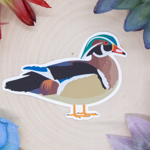 Wood Duck Sticker Bird Sticker Birdwatching Sticker Birding - Etsy