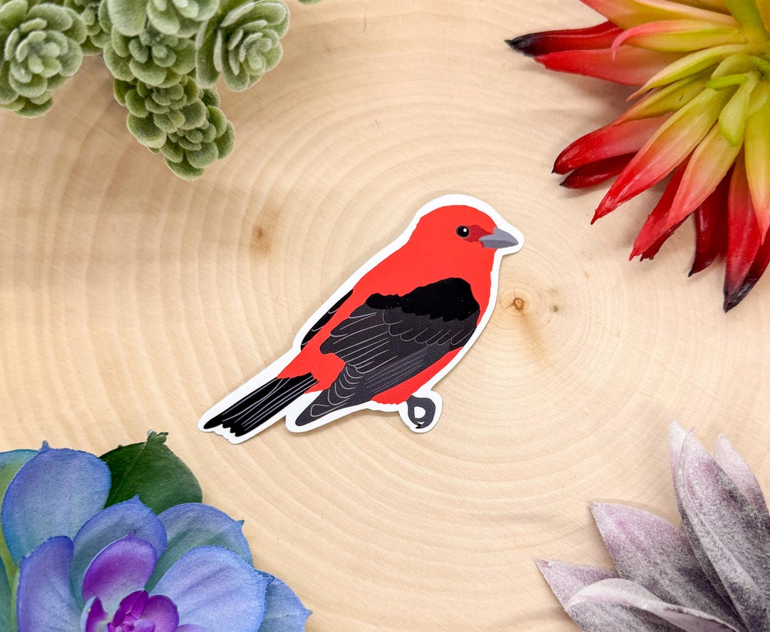 Scarlet Tanager Sticker, Bird Sticker, Birdwatching Sticker, Birding ...
