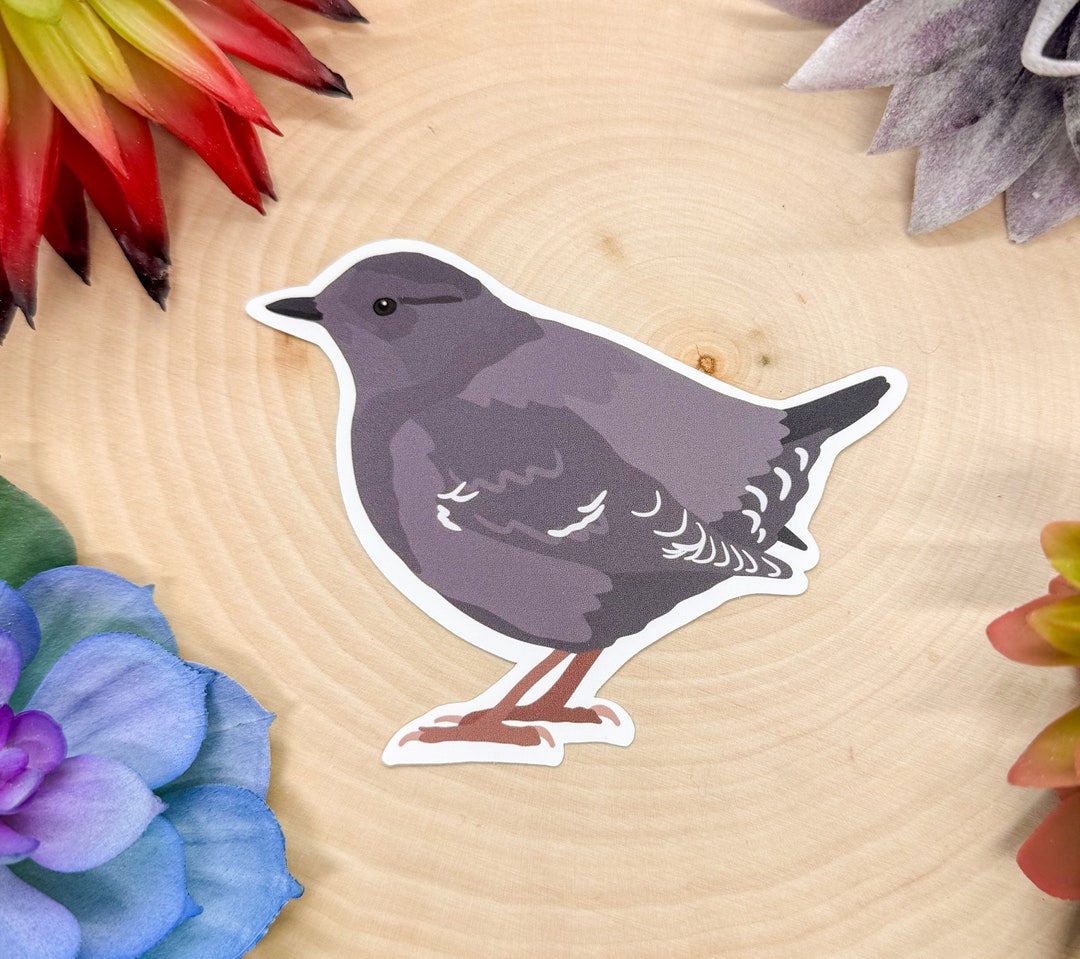American Dipper Sticker, American Dipper Decal, Dipper Bird Gift ...