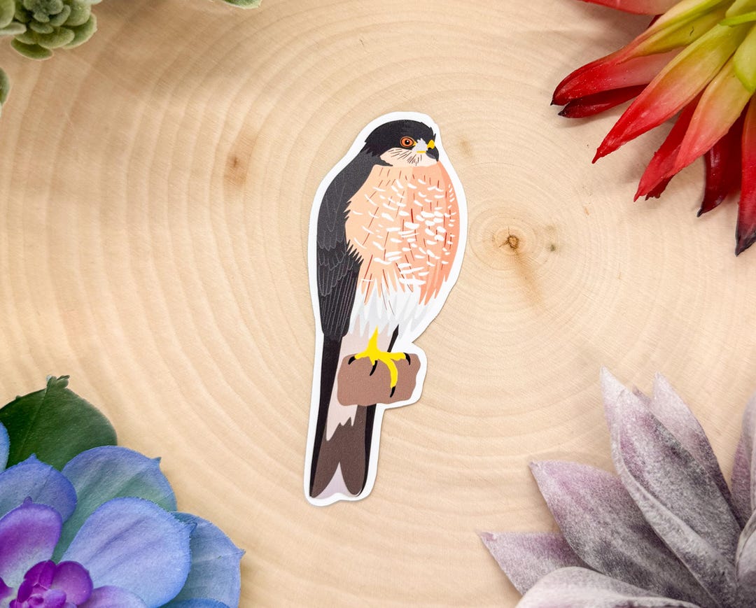 Sharp Shinned Hawk Sticker, Hawk Decal, Hawk Sticker, Coopers Hawk ...