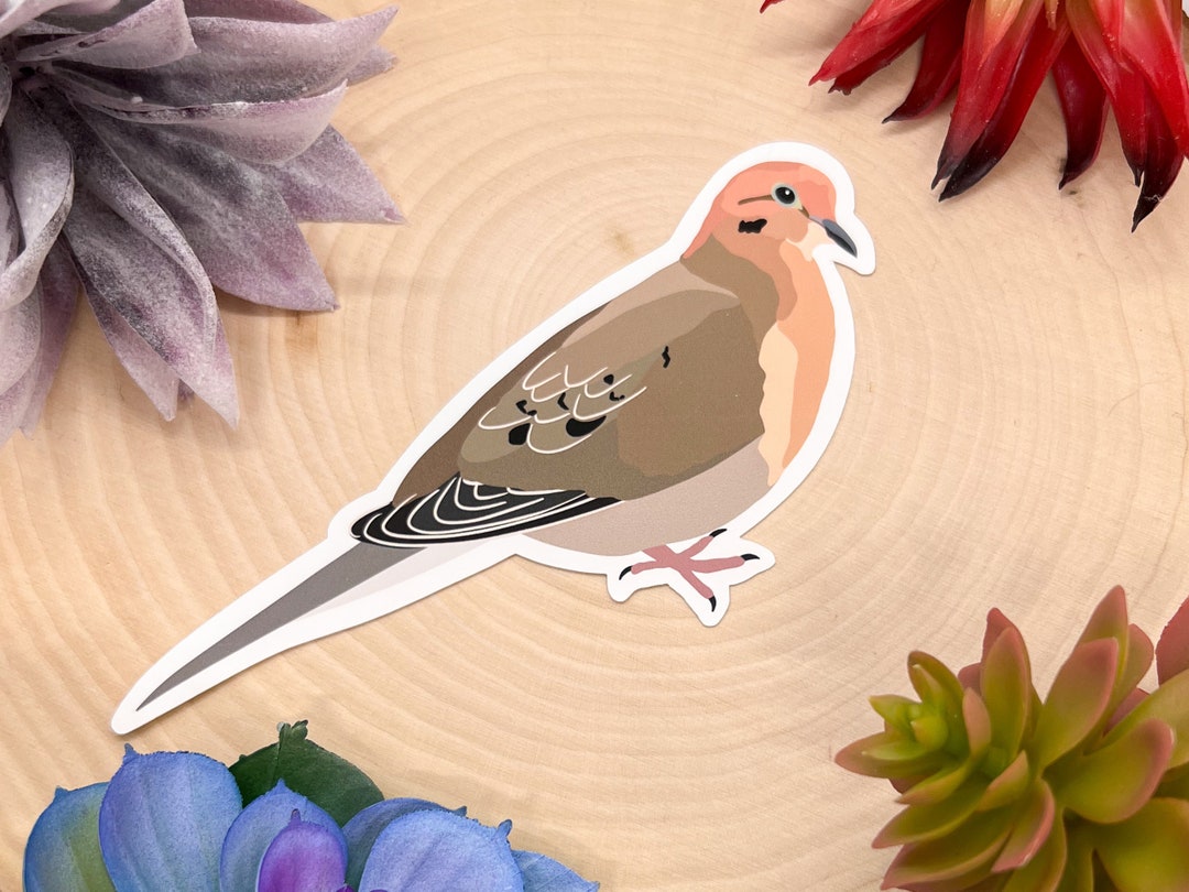 Mourning Dove Sticker, Mourning Dove Decal, Mourning Dove Gift ...