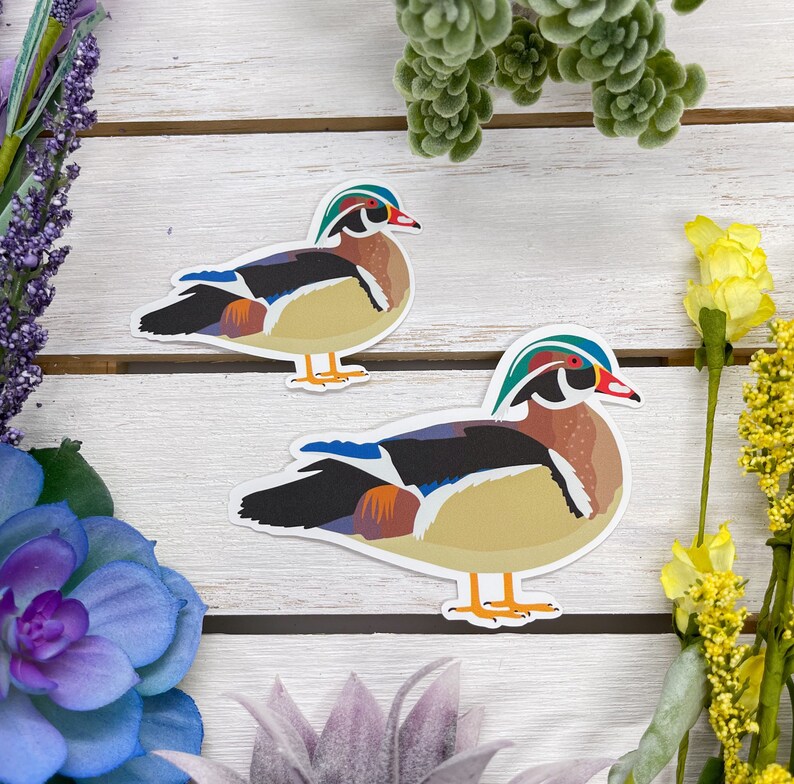 Wood Duck Sticker, Bird Sticker, Birdwatching Sticker, Birding Sticker ...