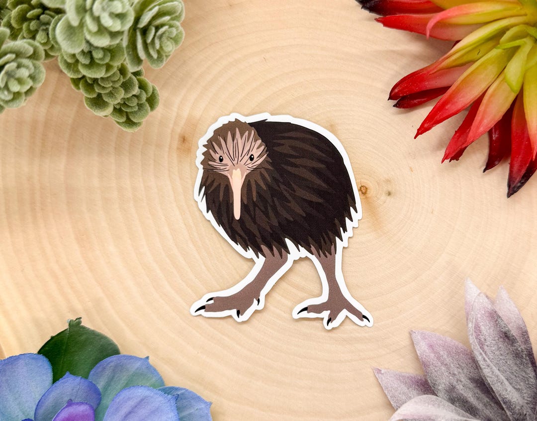 Kiwi Bird Sticker, Bird Sticker, Birdwatching Sticker, Birding Sticker ...