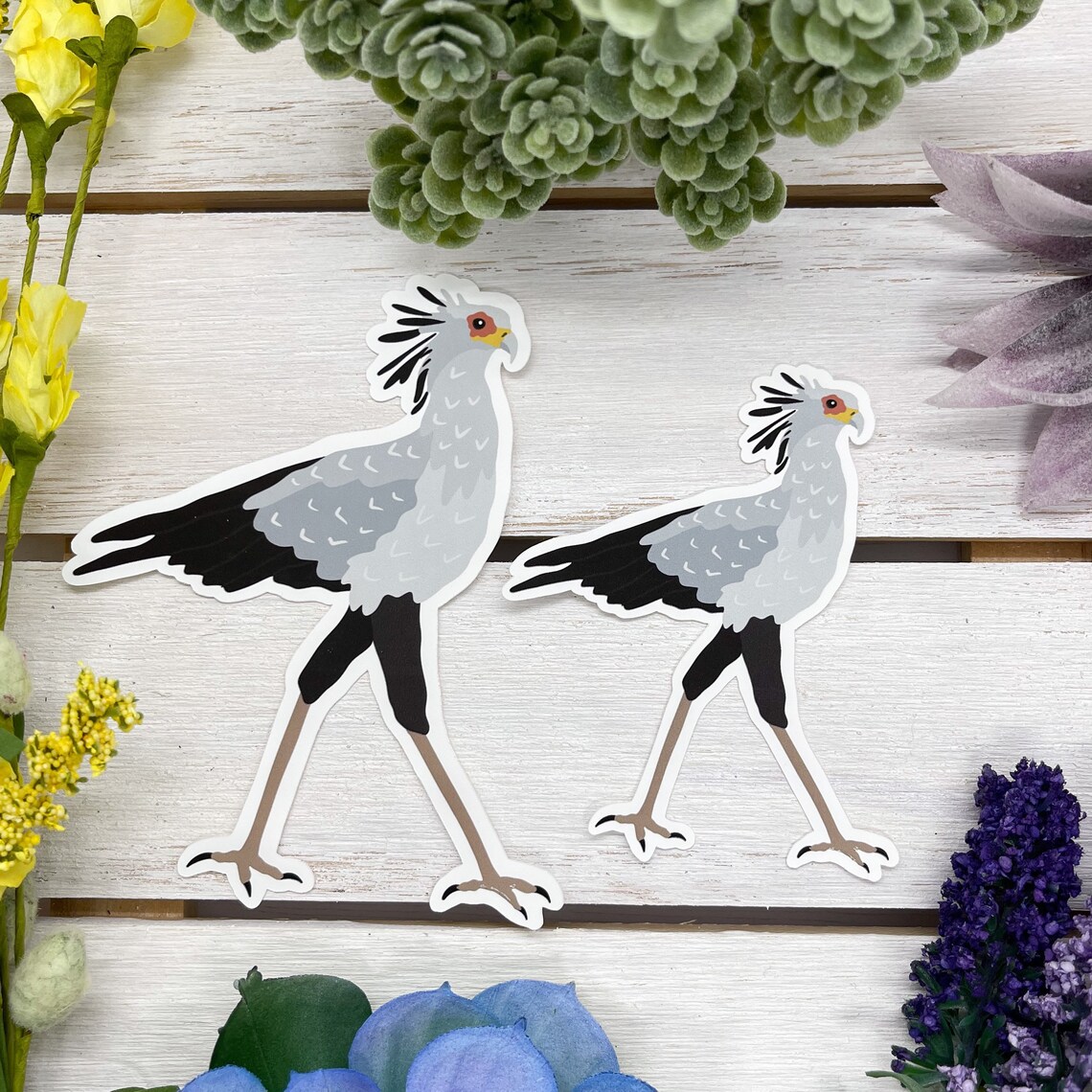 Secretary Bird Sticker, Bird Sticker, Birdwatching Sticker, Birding ...