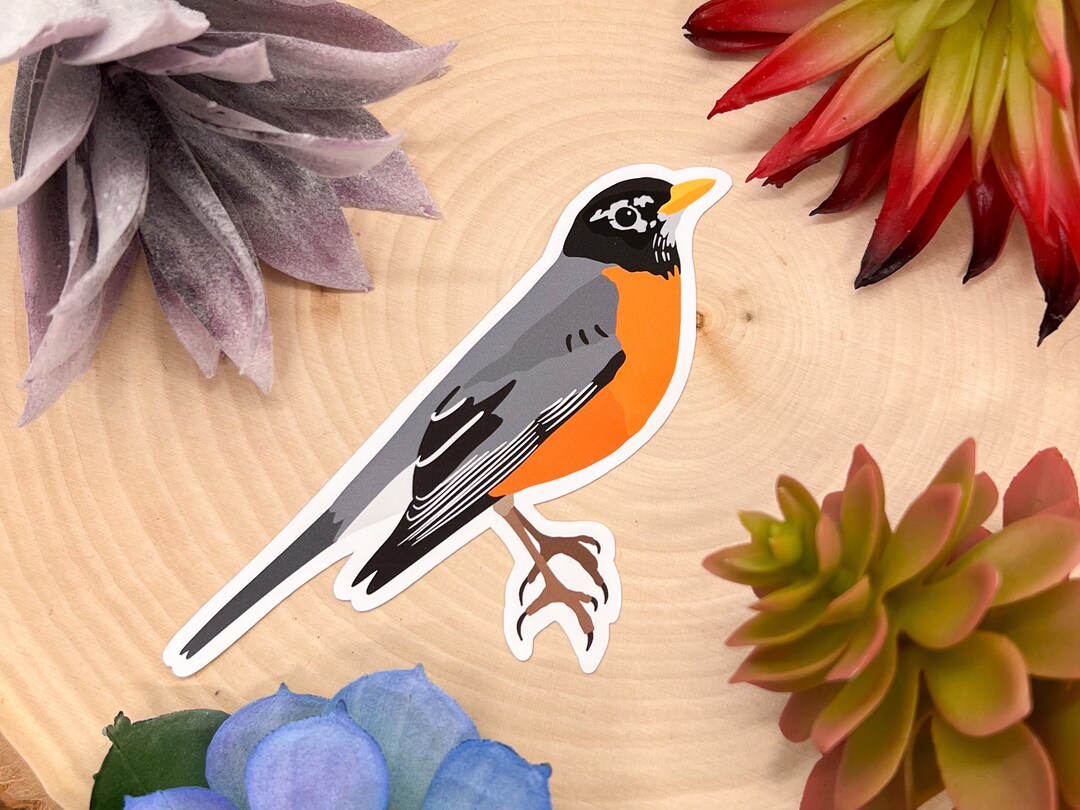 American Robin Sticker, American Robin Decal, American Robin Gift ...