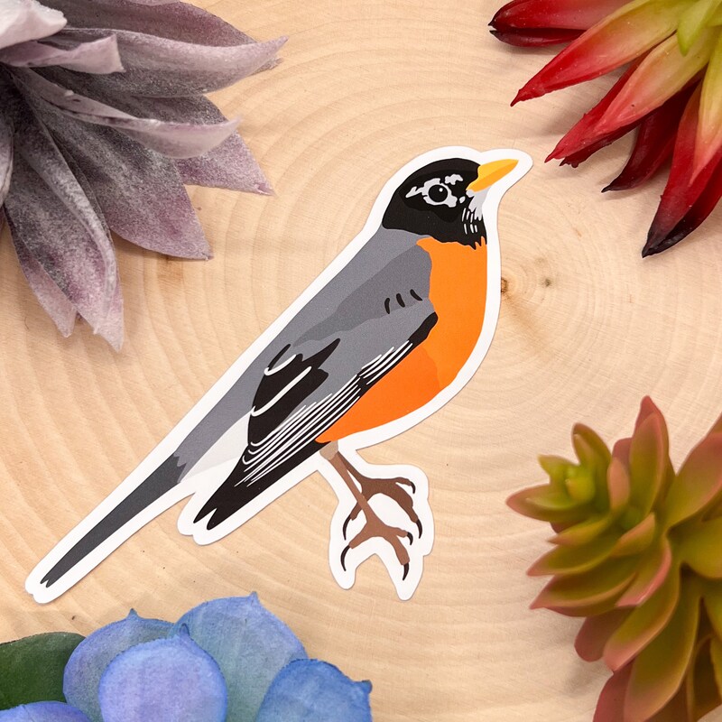 Robin Decal - Etsy