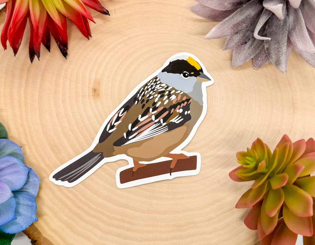 Golden Crowned Sparrow Sticker, Golden Crowned Sparrow Decal, Sparrow ...