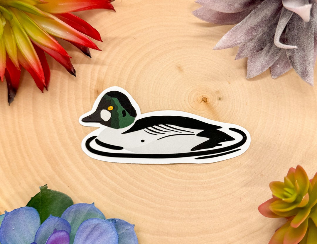 Common Goldeneye Sticker, Goldeneye Decal, Goldeneye Gift, Goldeneye ...