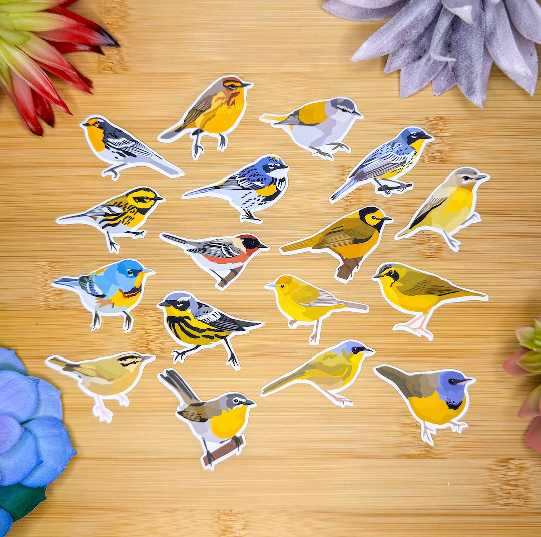 Warbler Sticker Pack, Mini Bird Sticker Pack, Bird Journal Stickers ...