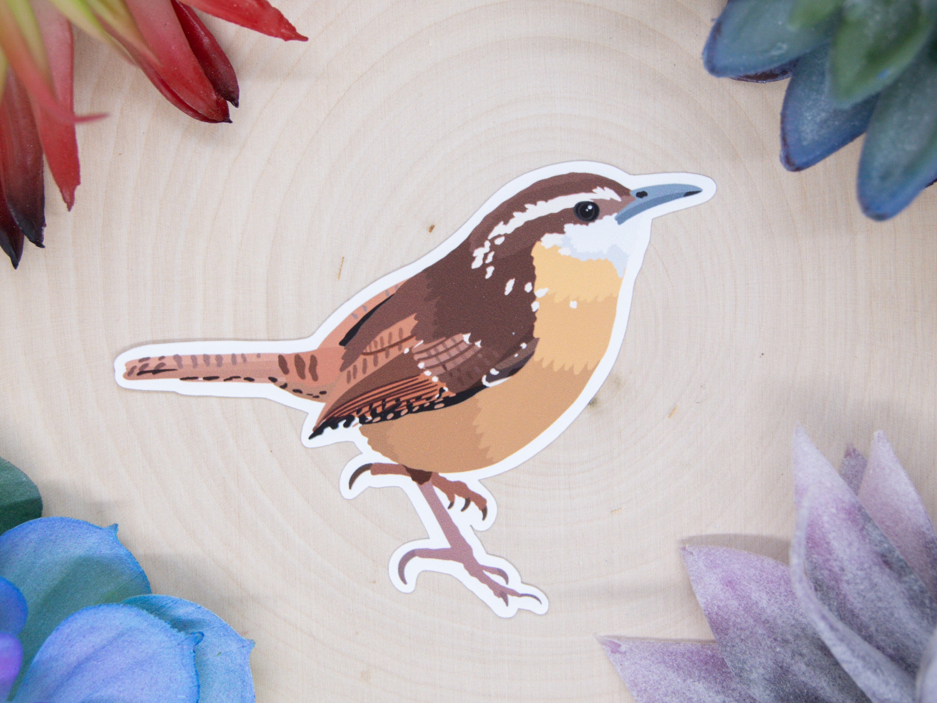 Carolina Wren Sticker Bird Sticker Birdwatching Sticker - Etsy