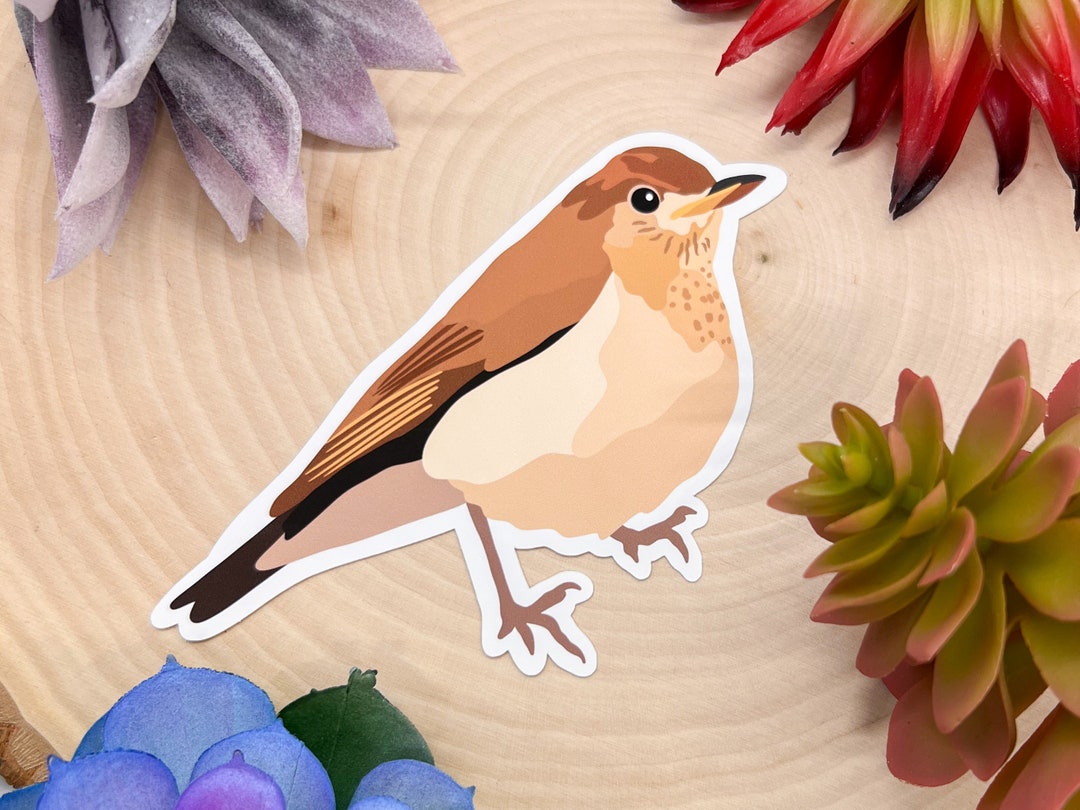Veery Sticker, Veery Decal, Veery Gift, Veery Decor, Veery Bird, Veery ...