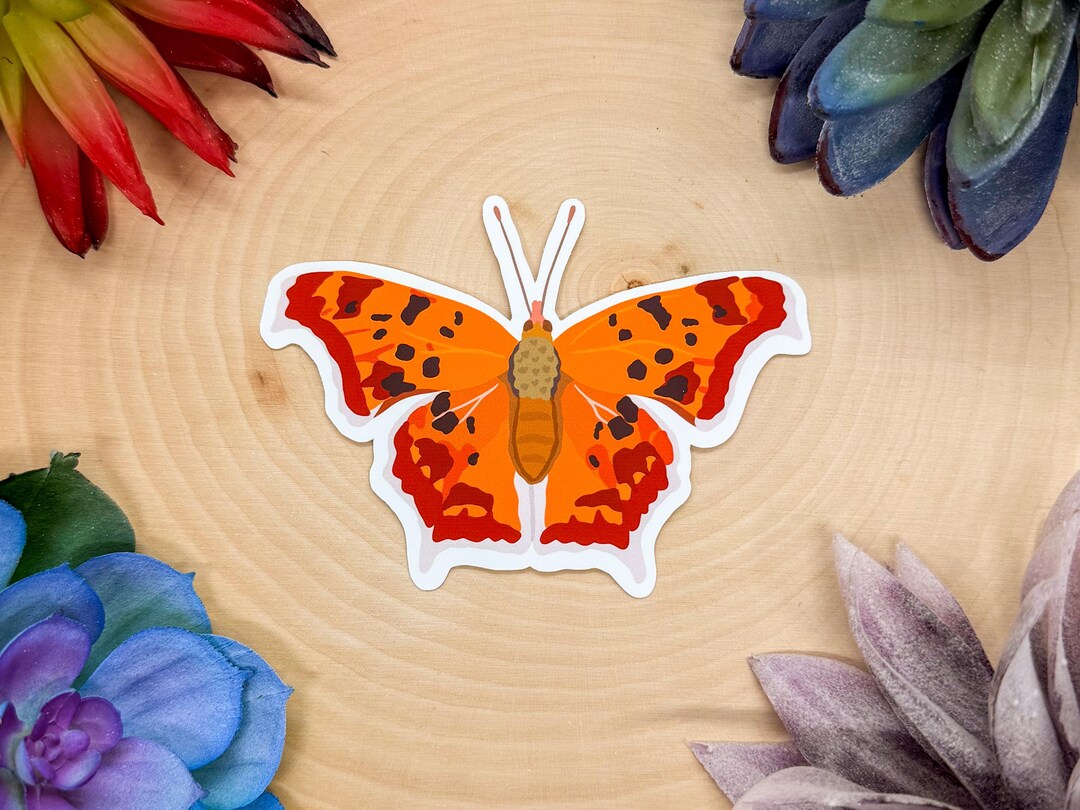 Question Mark Butterfly Sticker, Butterfly Sticker, Insect Sticker ...